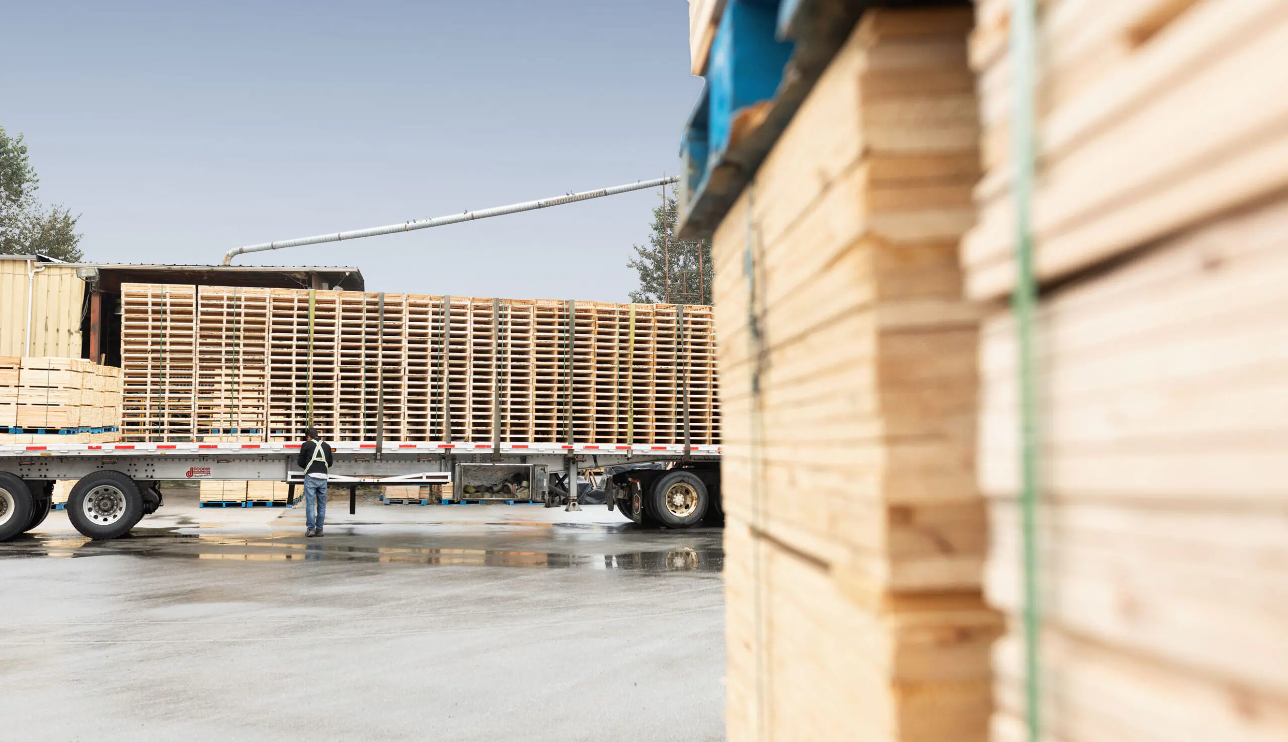 Sustainability - Advance Lumber & Pallet